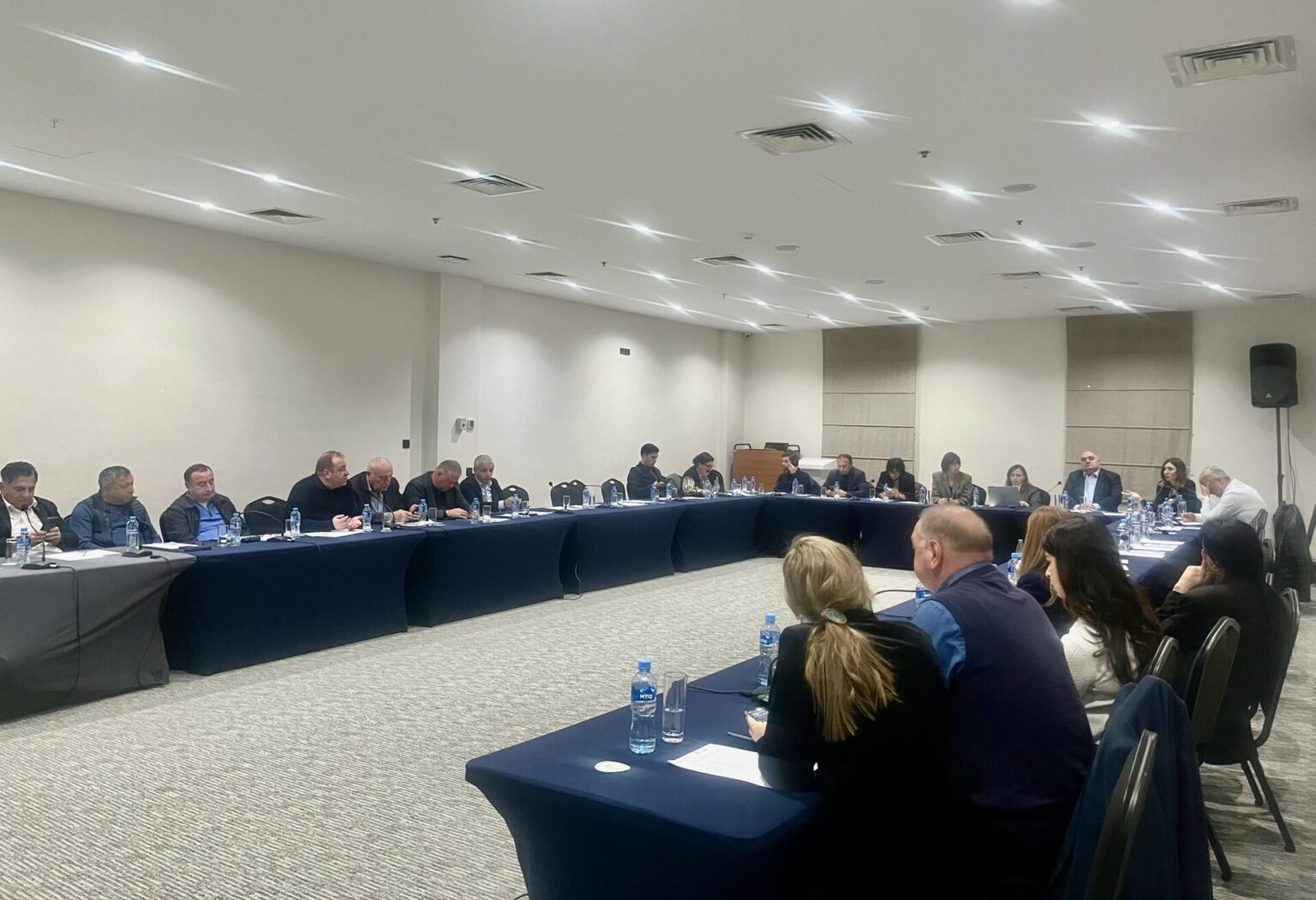 Regional Workshops on Gender Equality: Strengthening Local Policies ...